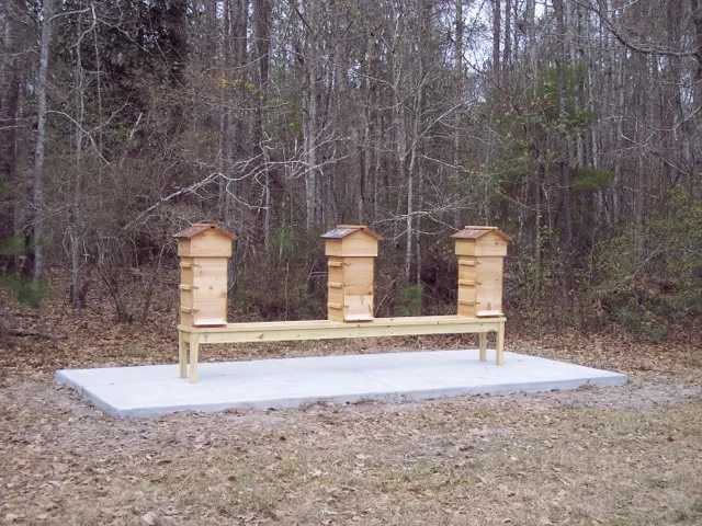 Where to place beehives — The Warre Store