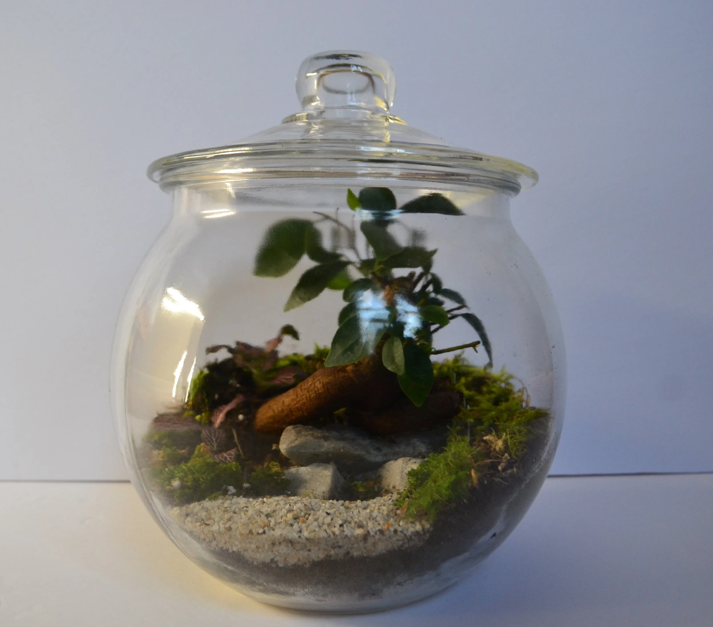 Marble Botanics