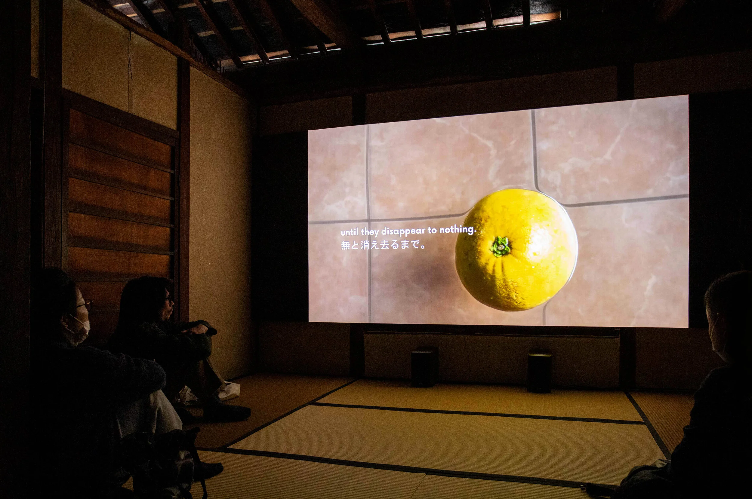 SCENES FROM BETWEEN THE MOUNTAIN AND THE SEA — FREYA DOOLEY