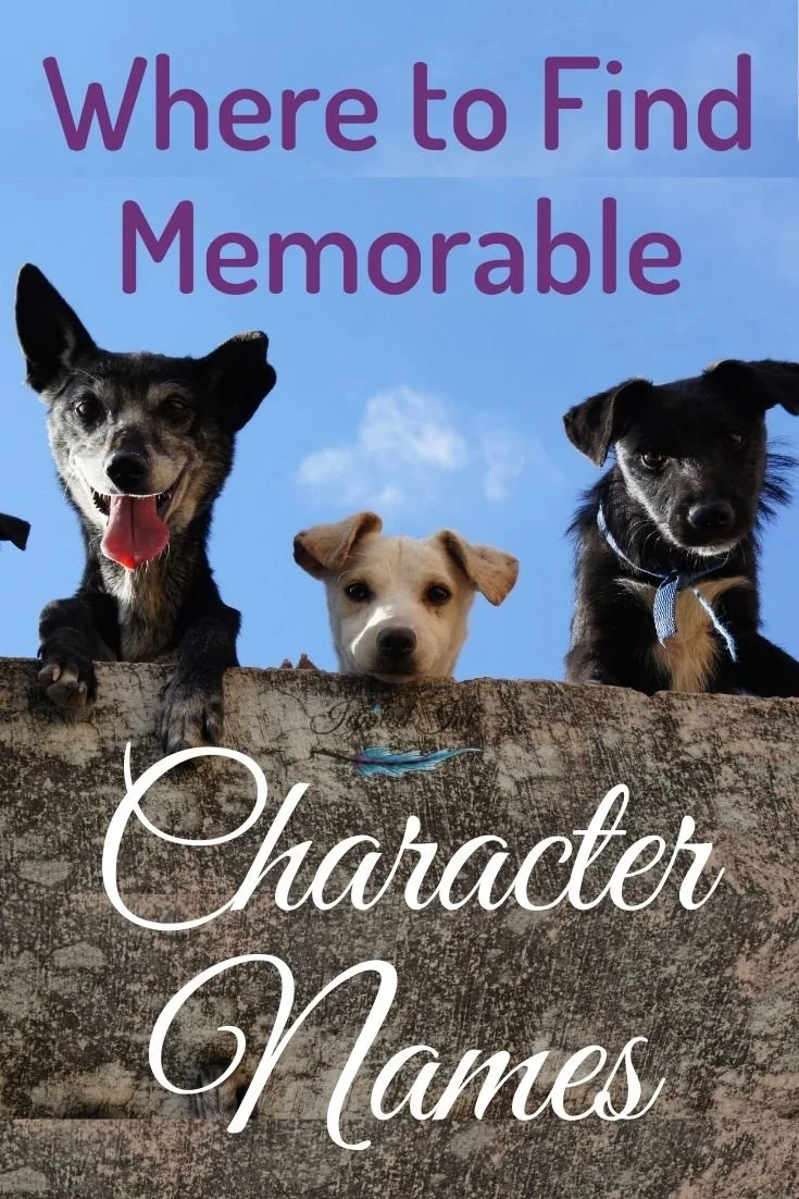 Where to Find Memorable and Unique Names for Your Characters — Read ...