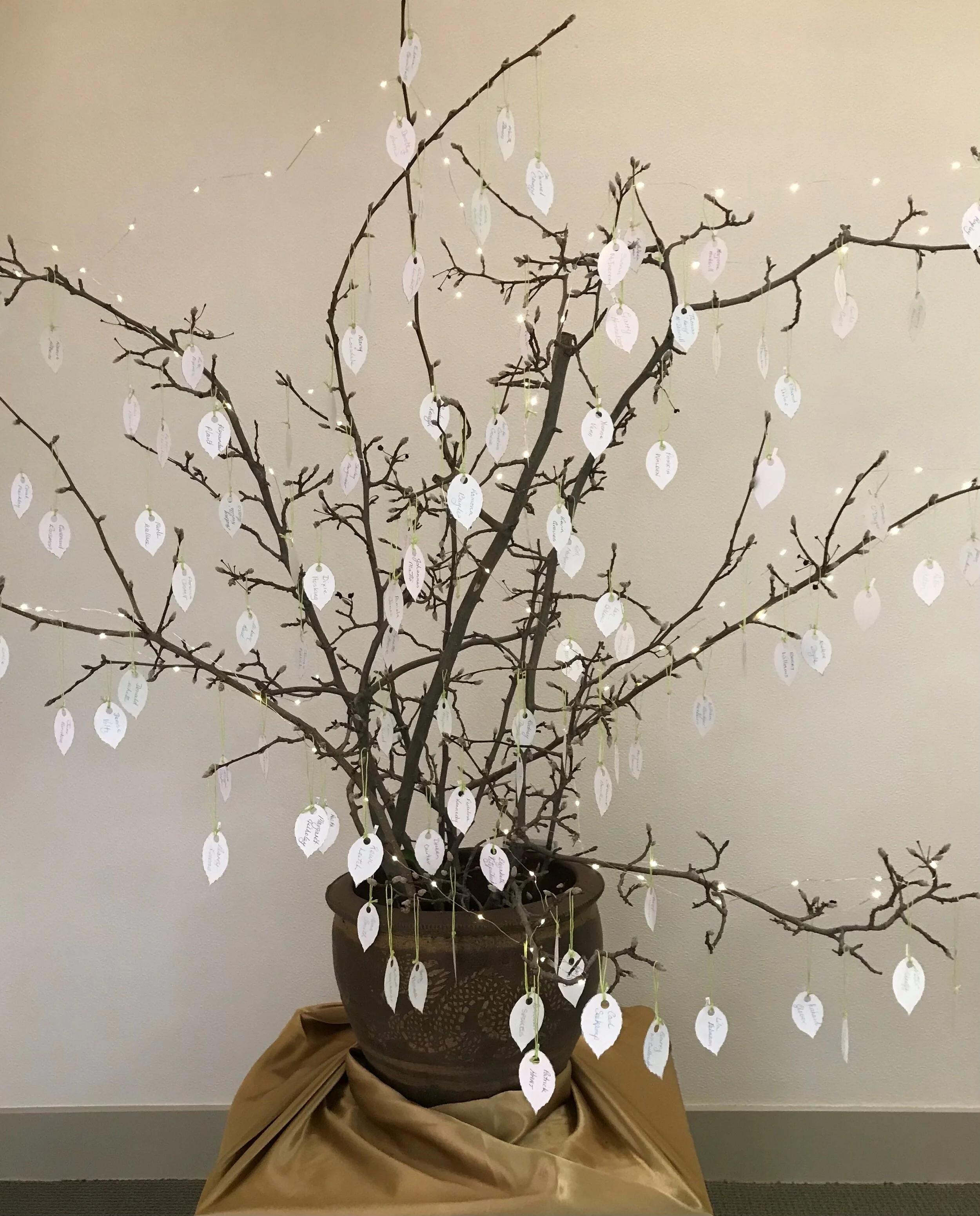 Memorial Tree at Mary Potter Nursing Home — The Forrest Centre ...