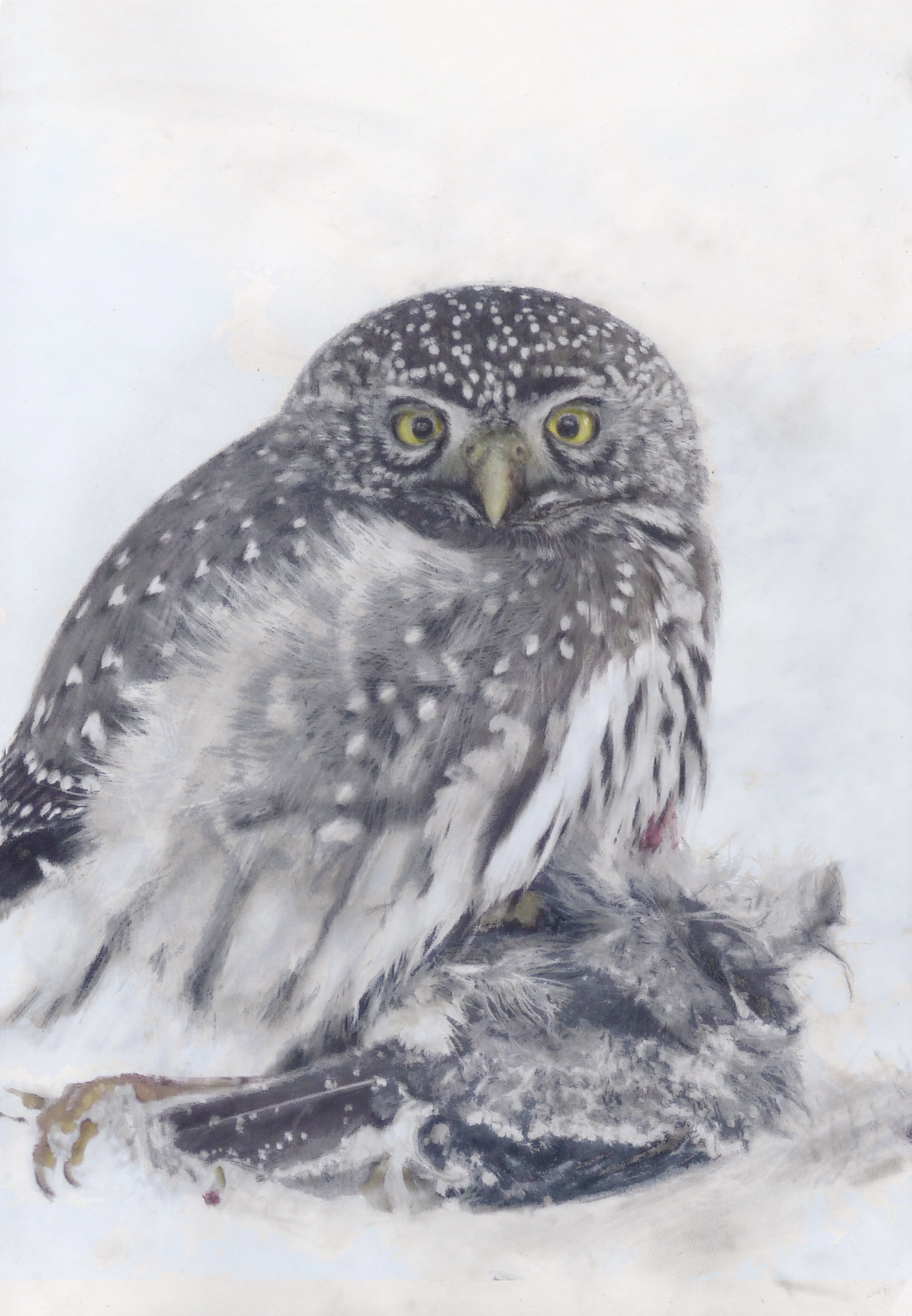 portfolio — betsy bradford