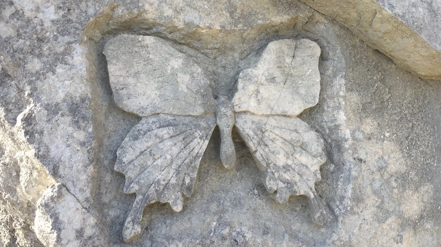 Activities — Portland Outdoor Centre Est.2017