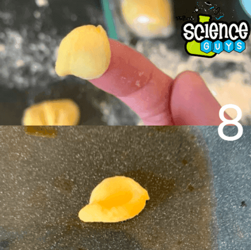 The Science of Pasta Making — Mr. Bond's Science Guys