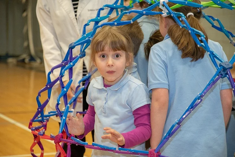 School Assembly Ideas, Science Assembly | Science For Kids | Mr. Bond's ...