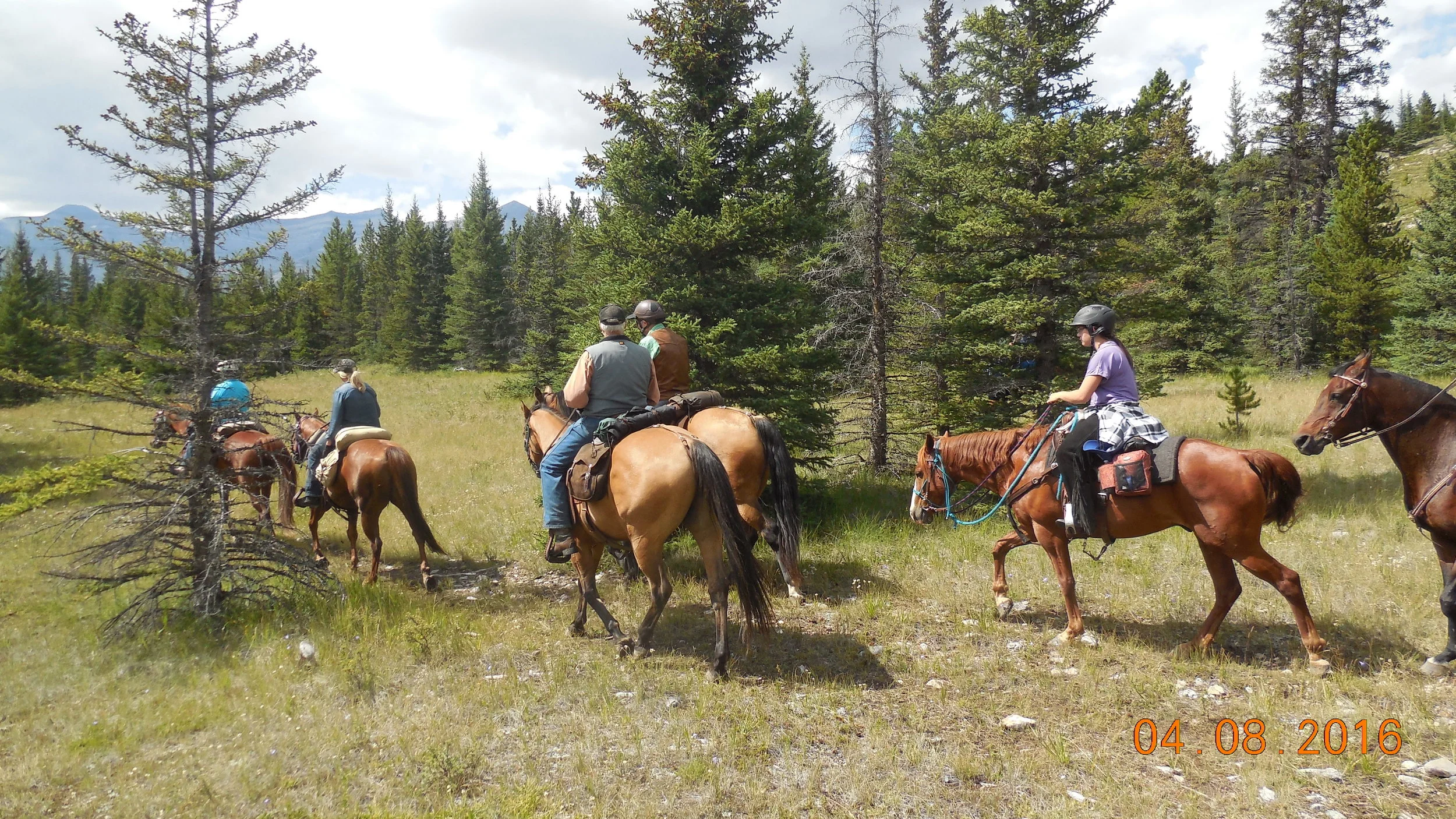 Alberta Trail Riding Association