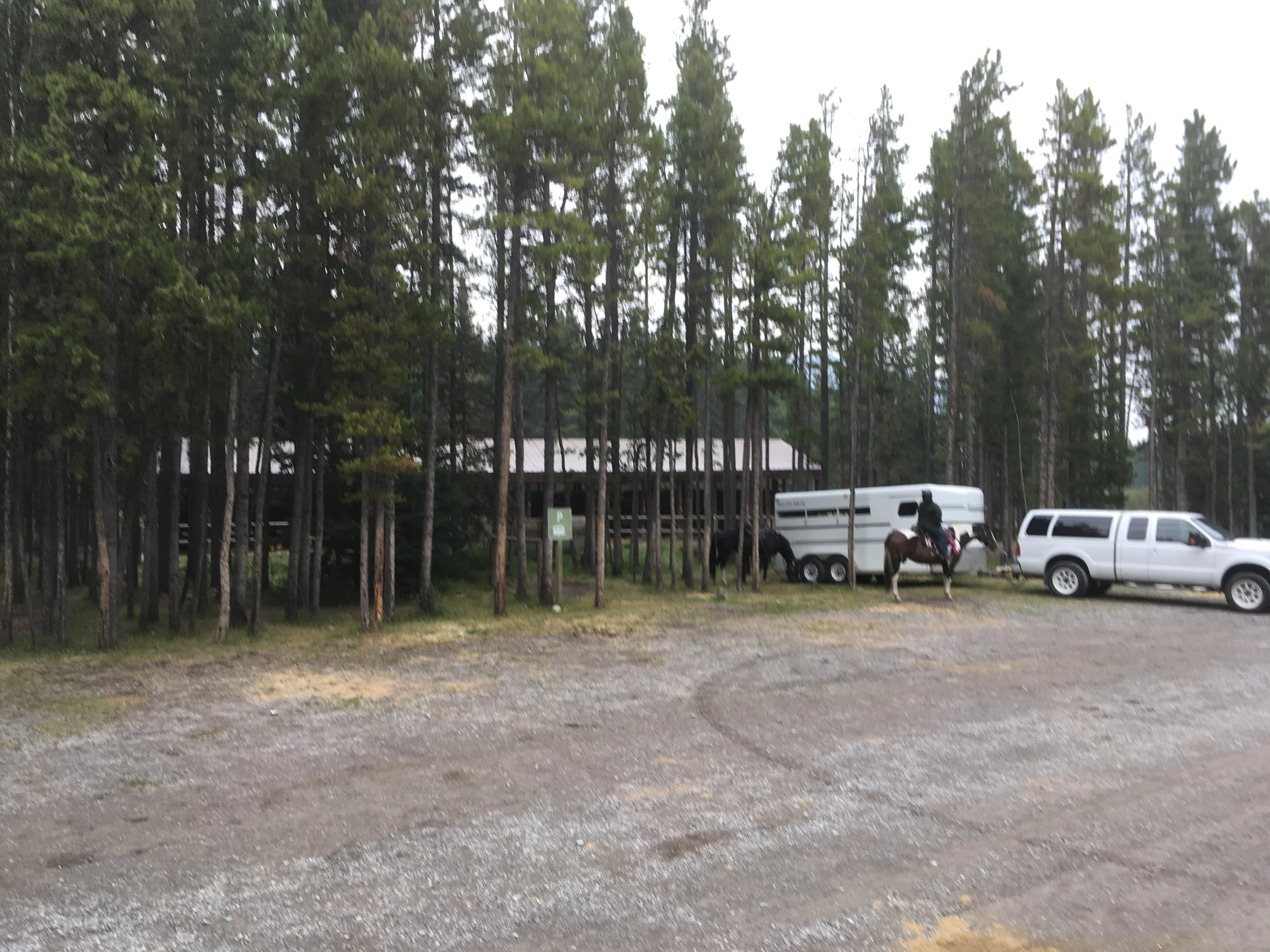 Trails — Alberta Trail Riding Association