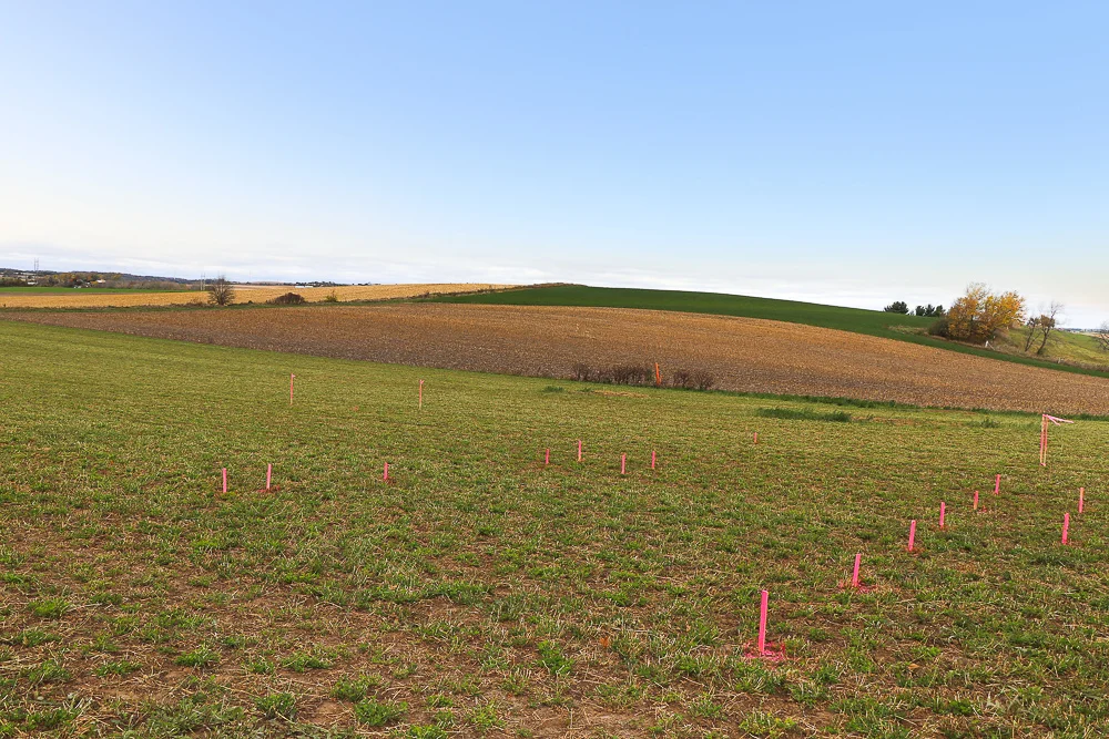 #3 Stakes in the Ground — Home in the Heartland
