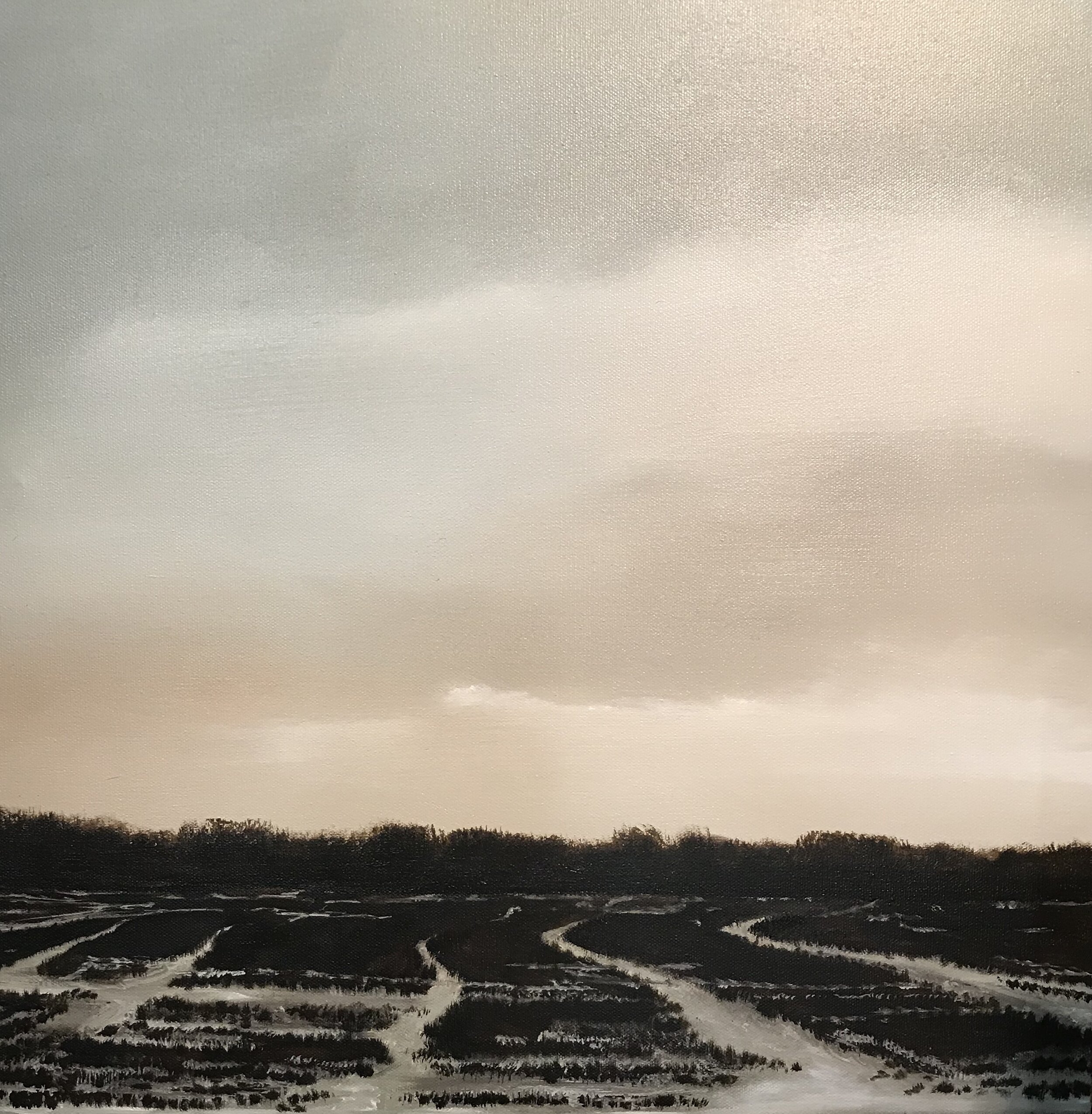 private collection — Hayden G Hall Art