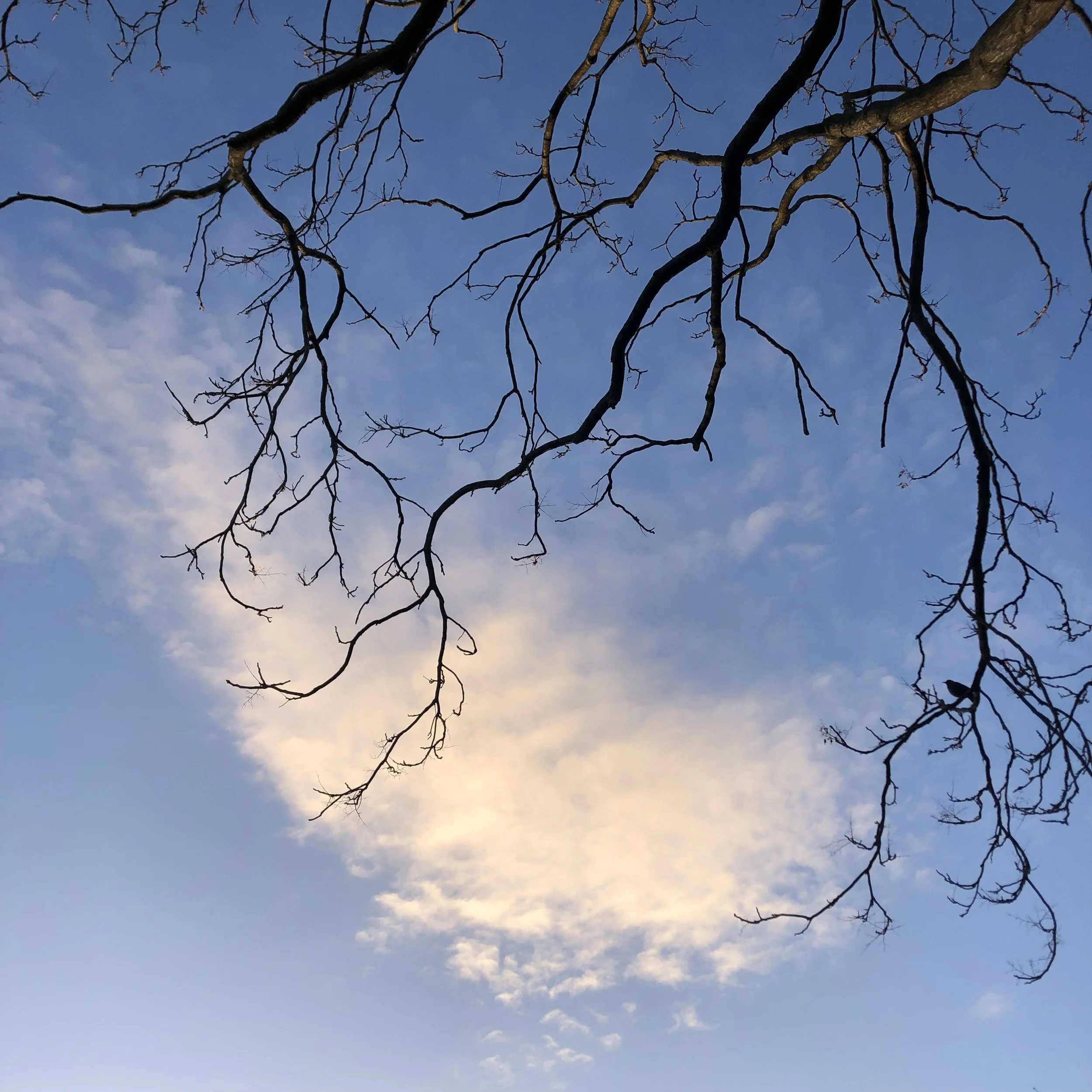 Our Methodology — Look Again Mindful Photography for Mental Health ...