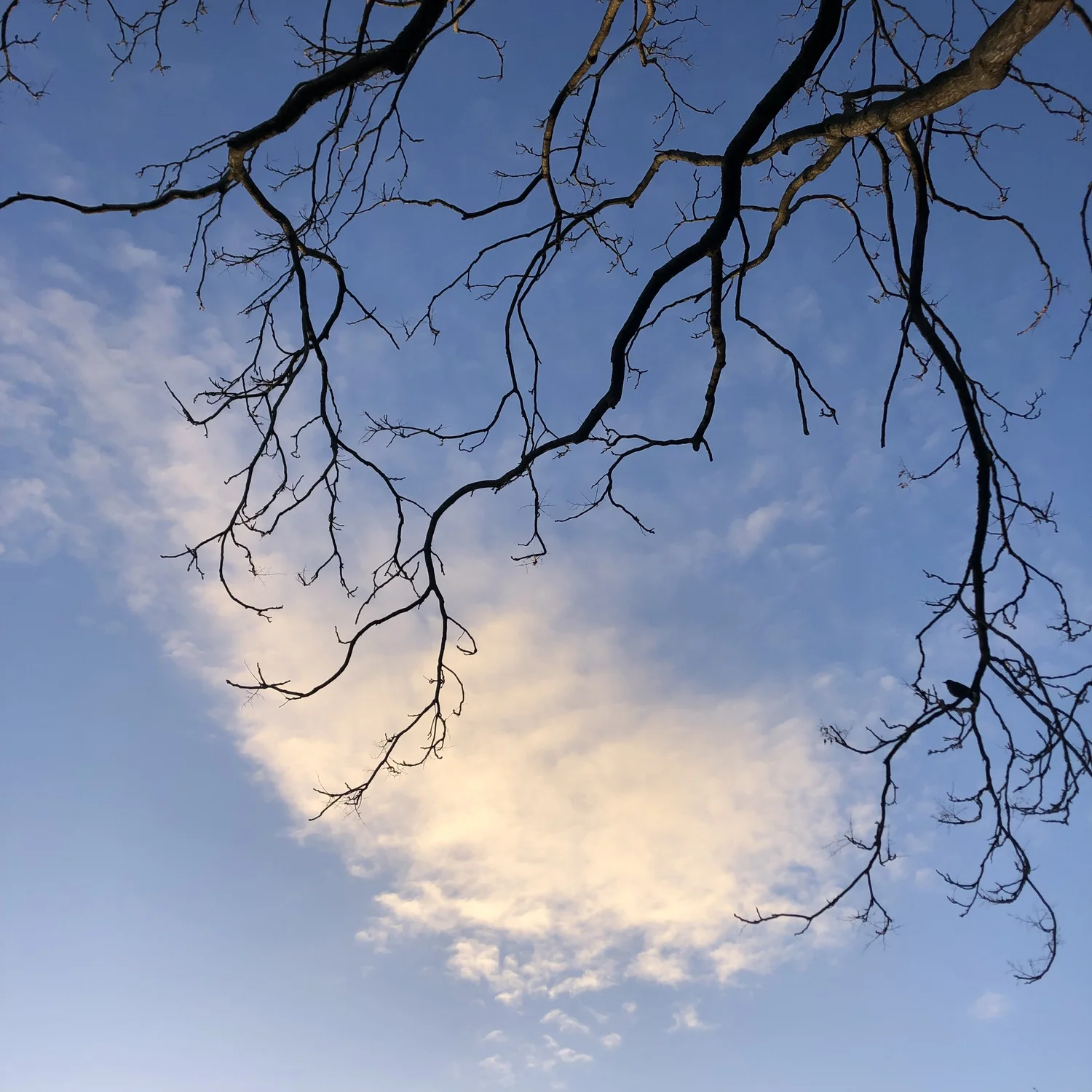 Our Methodology — Look Again Mindful Photography for Mental Health ...