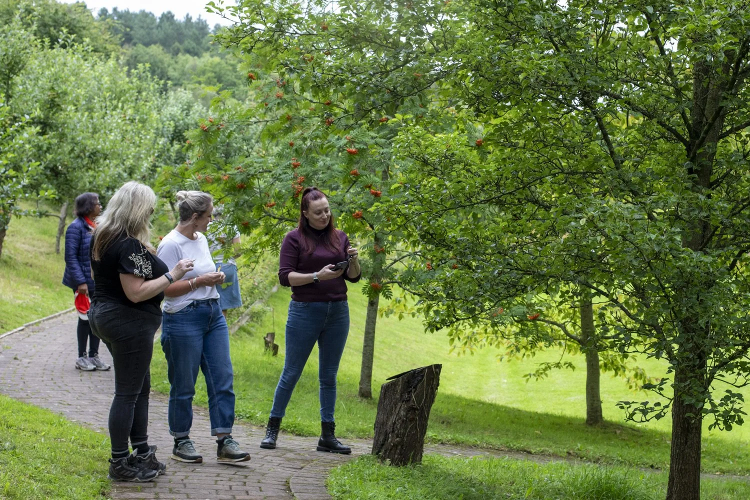 Practitioner Training — Look Again Mindful Photography for Mental ...