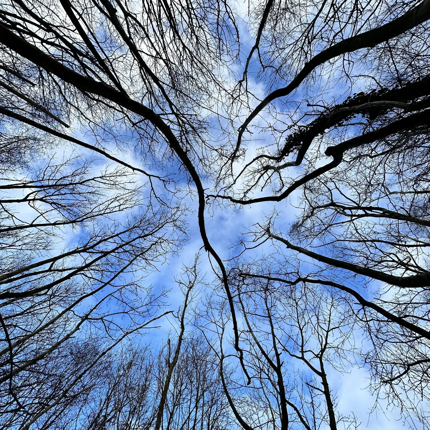 Professional training in therapeutic photography — Look Again Mindful ...