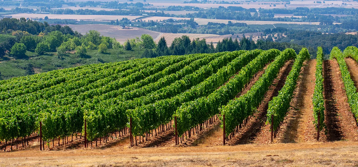 Tim Rosener - Mayor, CIty of Sherwood