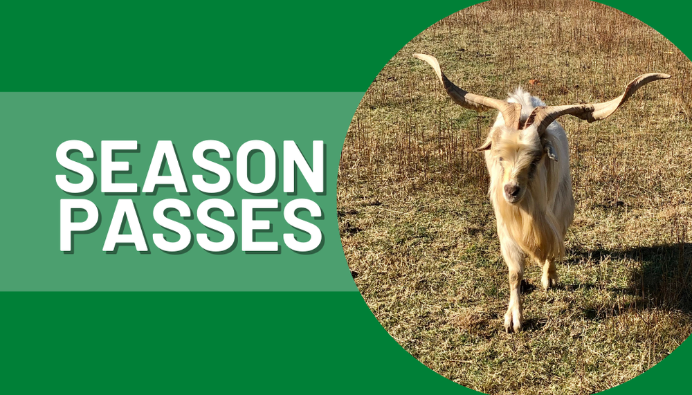 Lark Ranch — Loogootee Hours & Rates