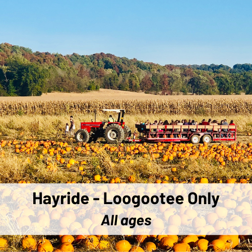 Lark Ranch — Lark Ranch Attractions