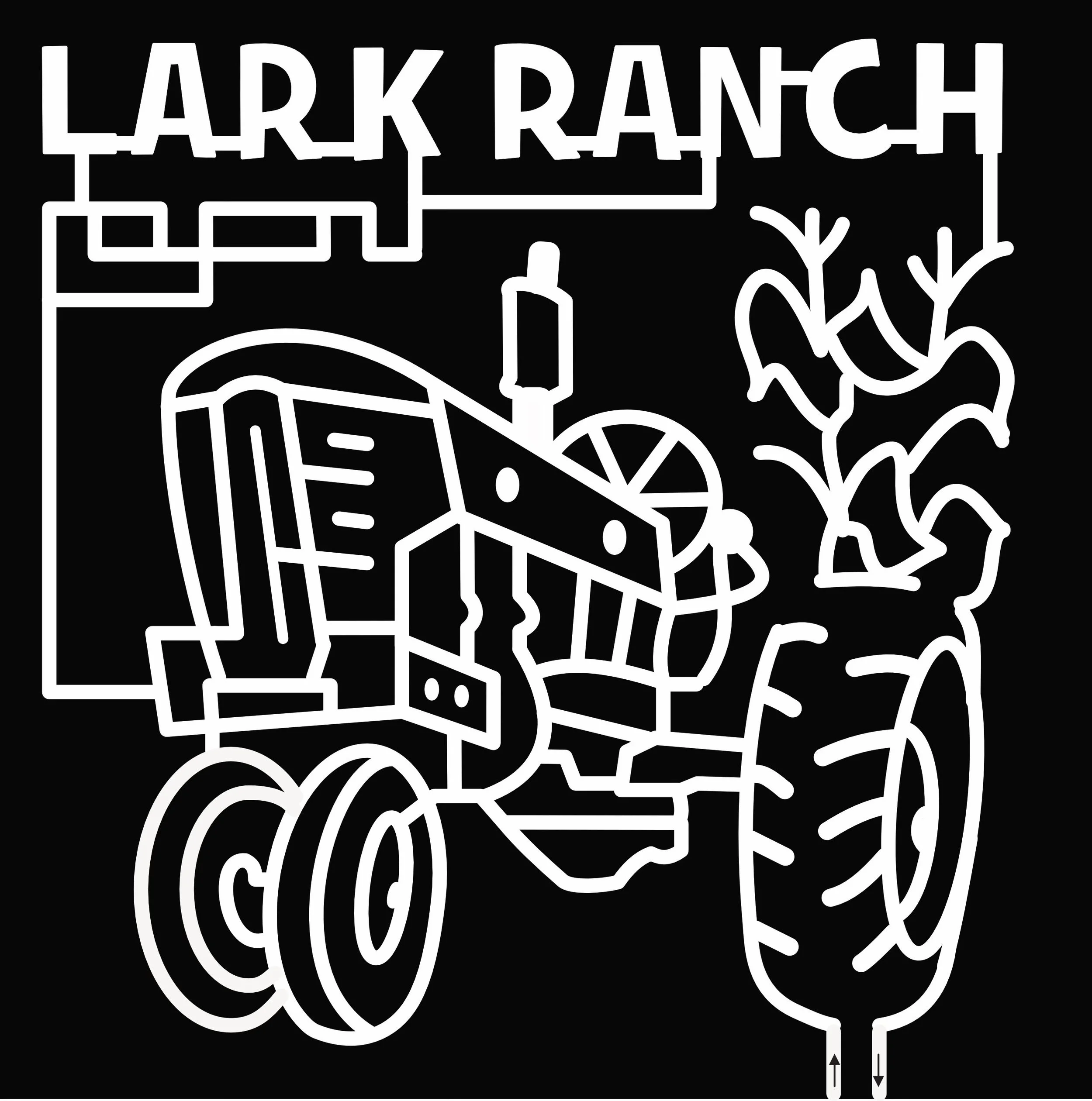 Lark Ranch — Lark Ranch Maze Maps | Greenfield, Loogootee & Lanesville