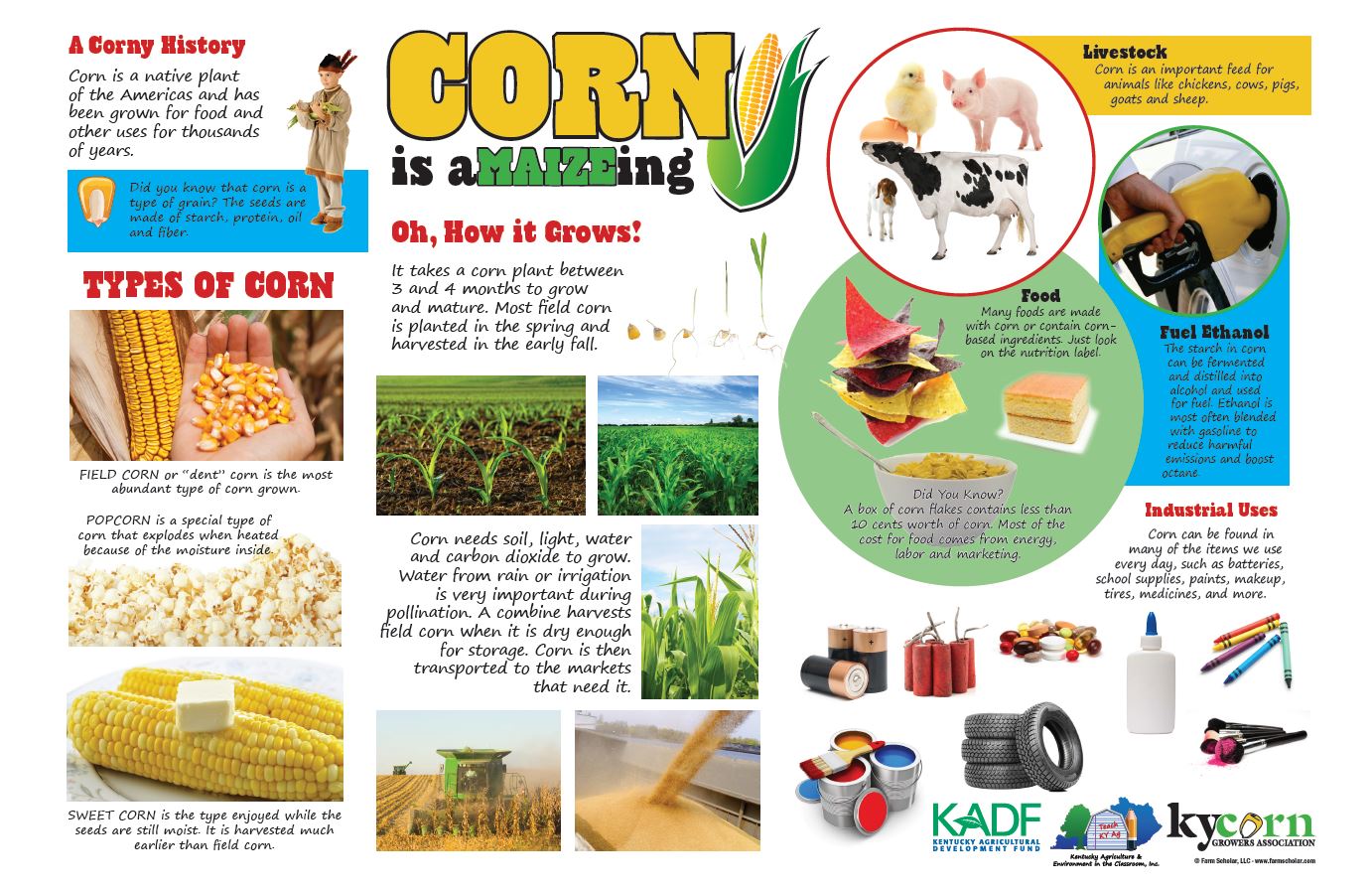 Classroom Resources — Kentucky Corn Growers Association