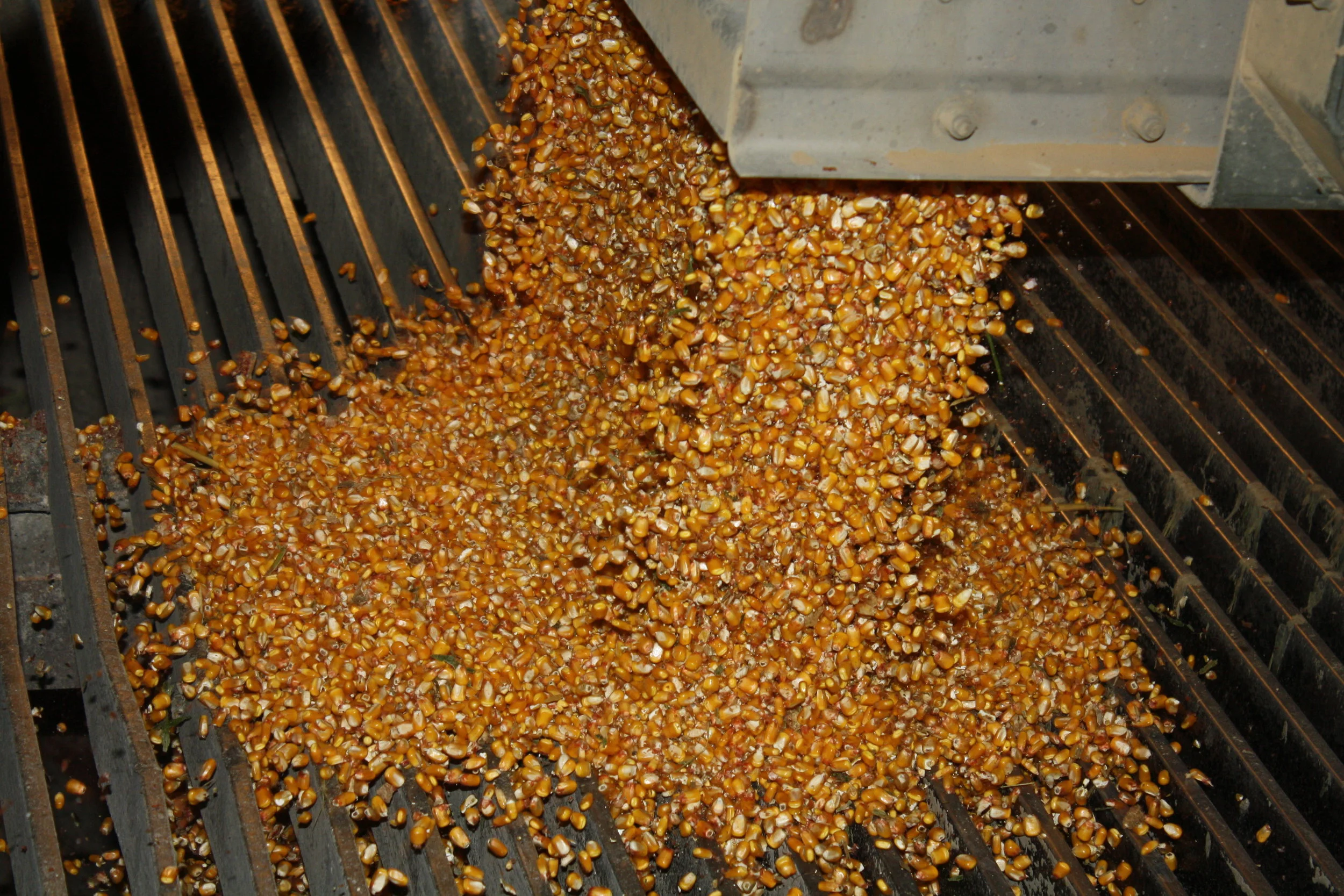 Kentucky Corn Growers Association