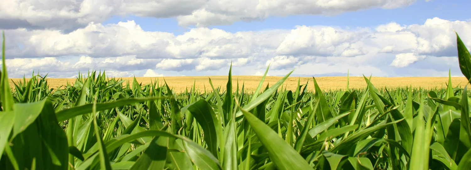 Classroom Resources — Kentucky Corn Growers Association