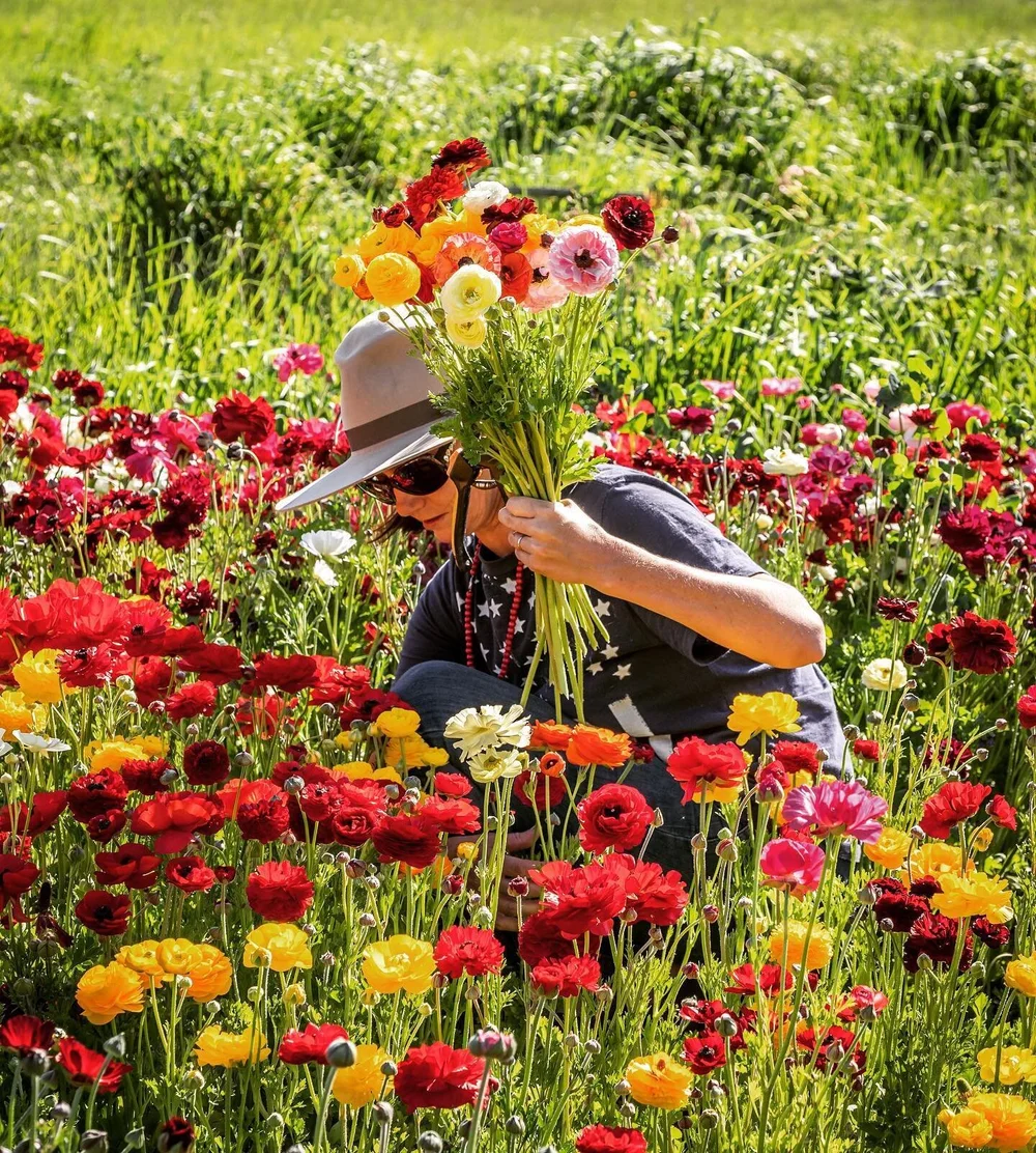 Bella Flora Farm