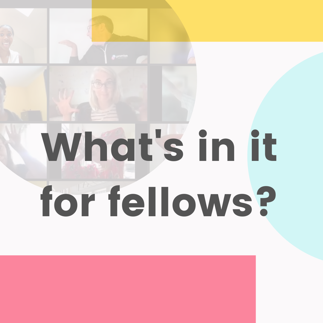 The Promising Ventures Fellowship | ECD Social Entrepreneurs — Promise ...