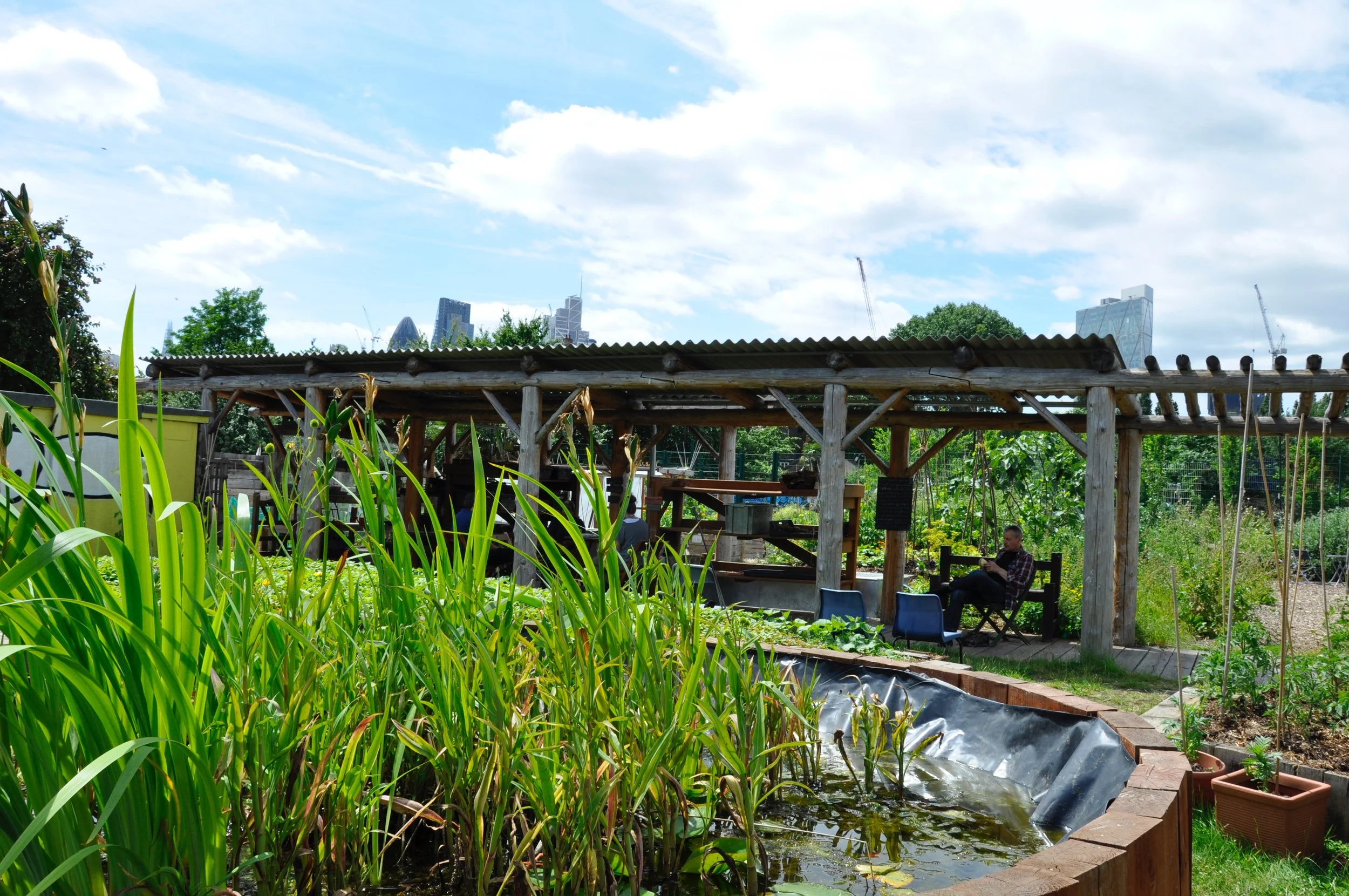 Growing | Spitalfields City Farm