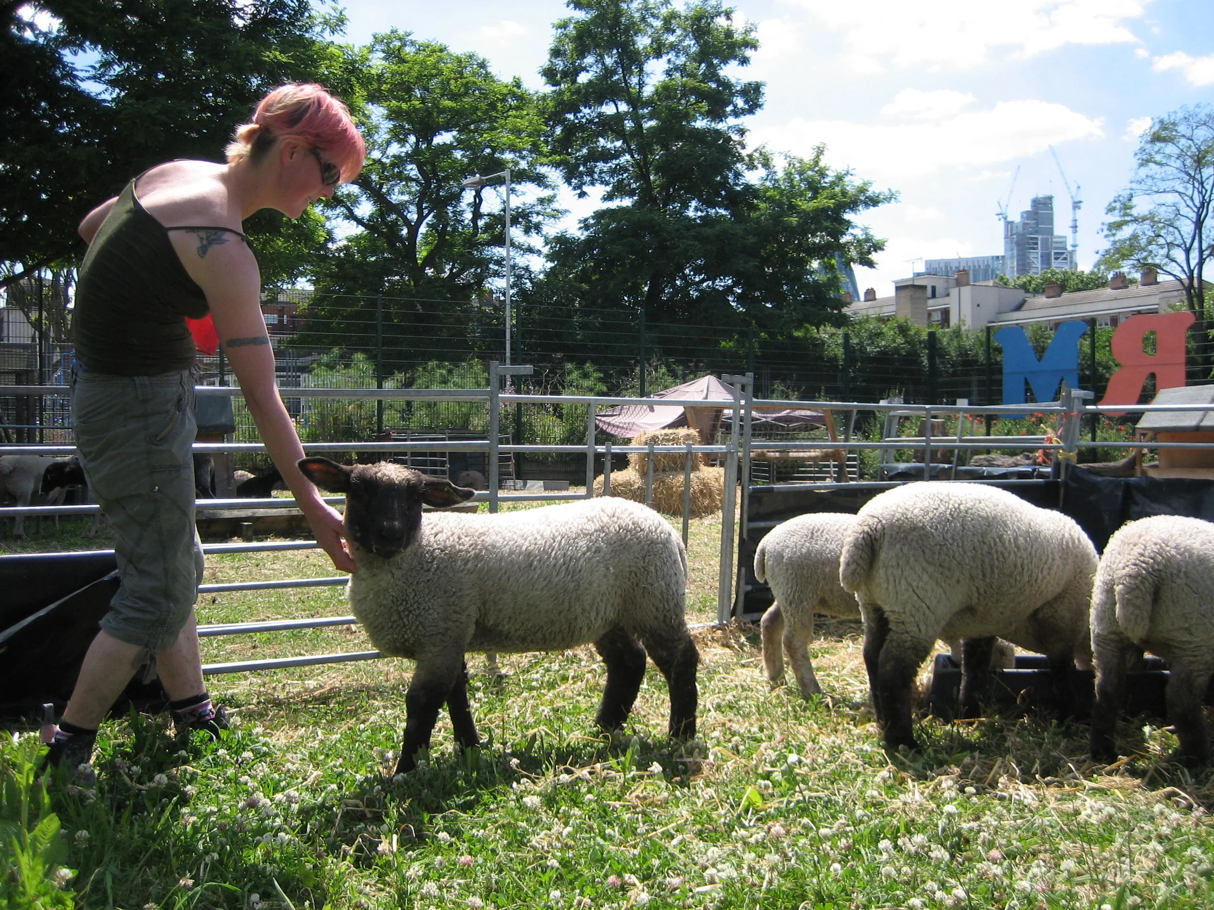 Volunteer | Spitalfields City Farm
