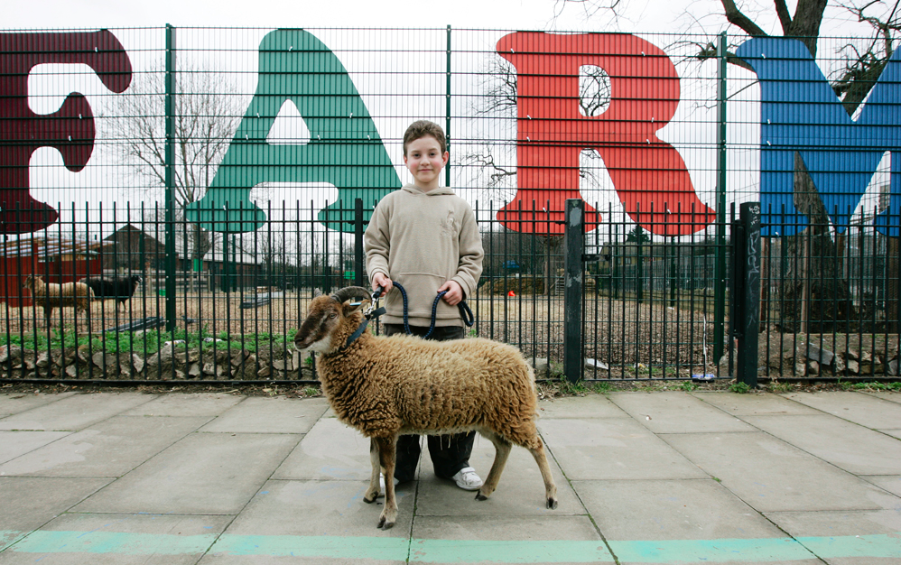 Our Farmyard Animals | Spitalfields City Farm
