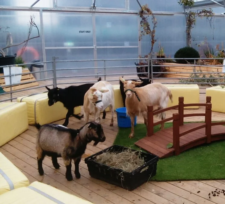 Mobile Farm | Spitalfields City Farm