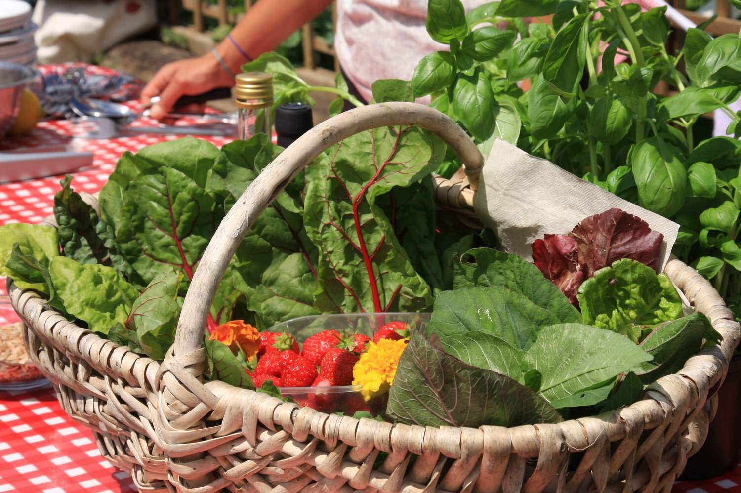Spitalfields City Farm