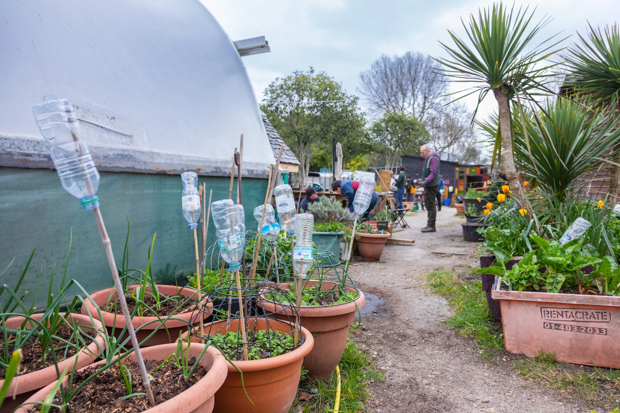 Spitalfields City Farm