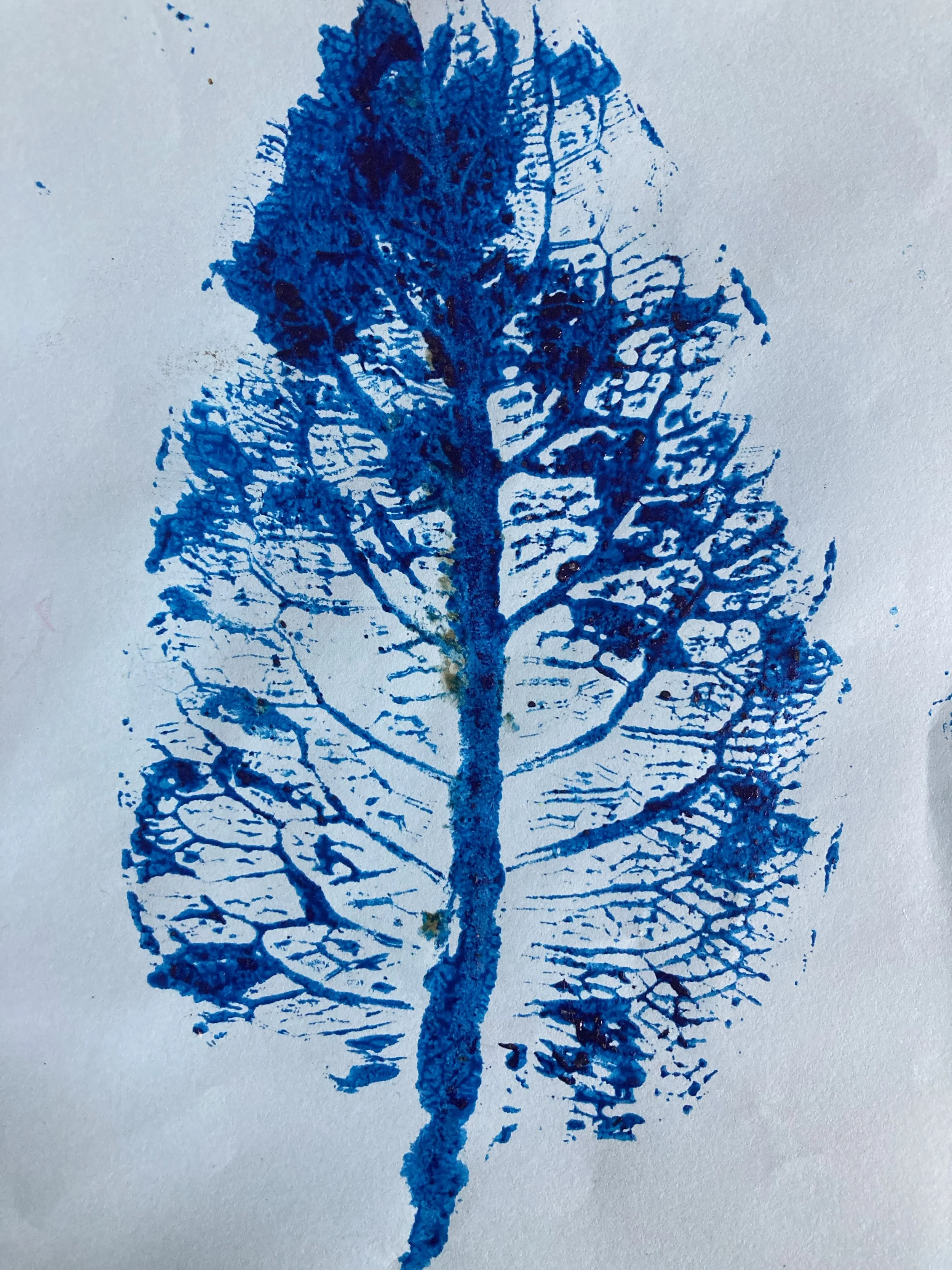 CREATE: Printmaking session — Spitalfields City Farm