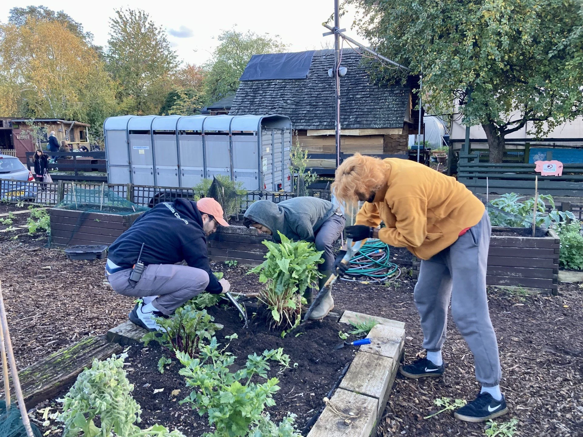 Volunteer | Spitalfields City Farm