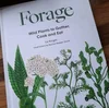 'Forage' - A Conversation with Liz Knight — The Hours Cafe & Bookshop