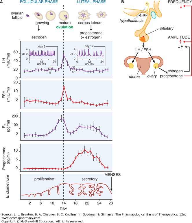 Hormonal Contraceptives & Mental Health — Psychiatry & Psychotherapy ...