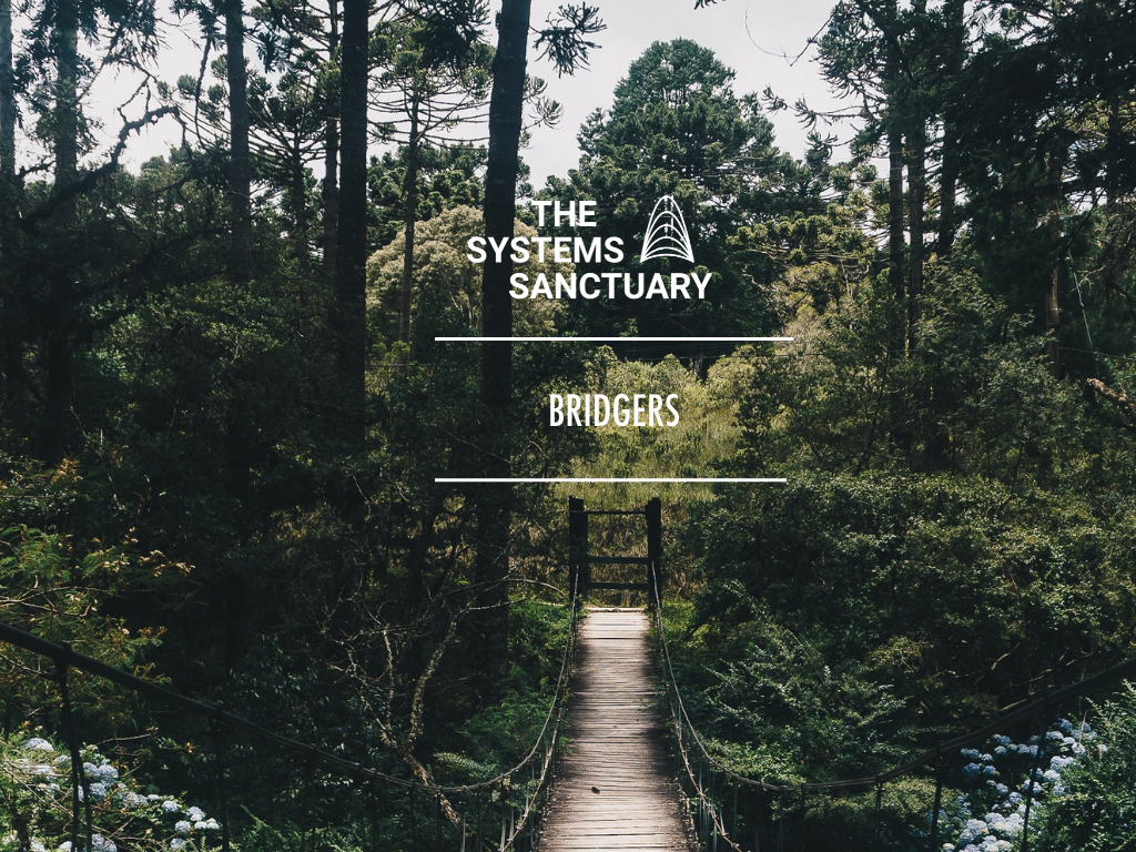 Our Cohorts — The Systems Sanctuary