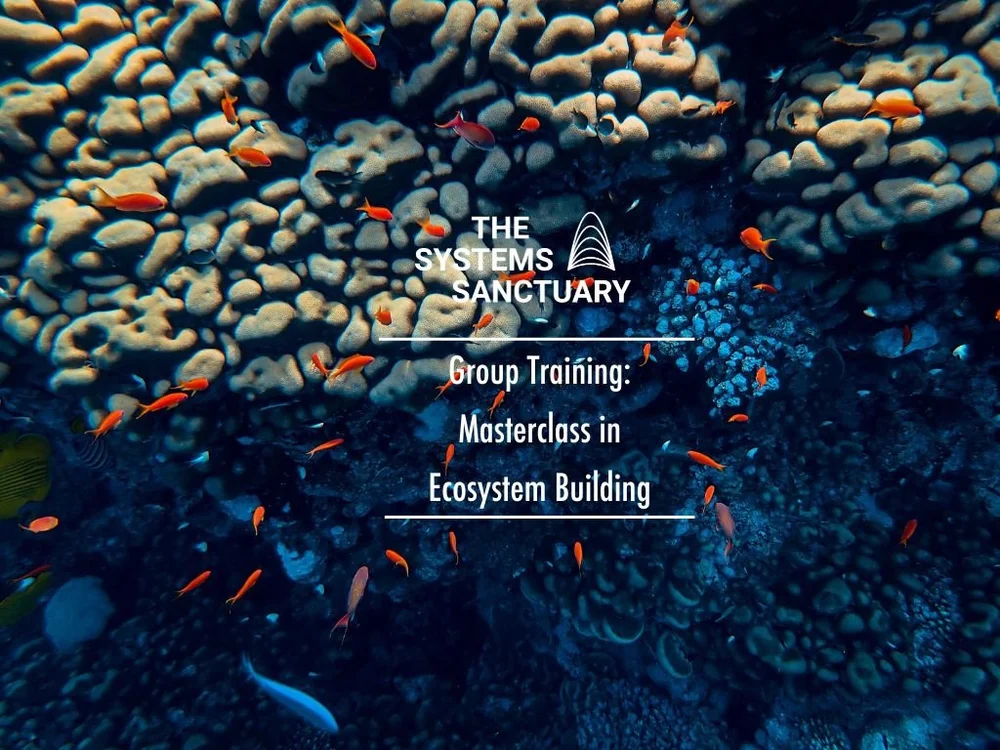 Group Masterclass in Ecosystem Building — The Systems Sanctuary