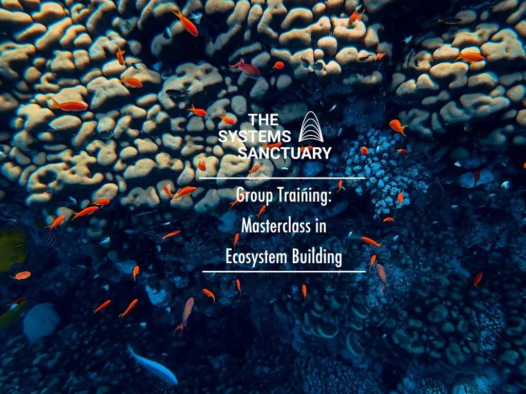 Group Masterclass in Ecosystem Building — The Systems Sanctuary
