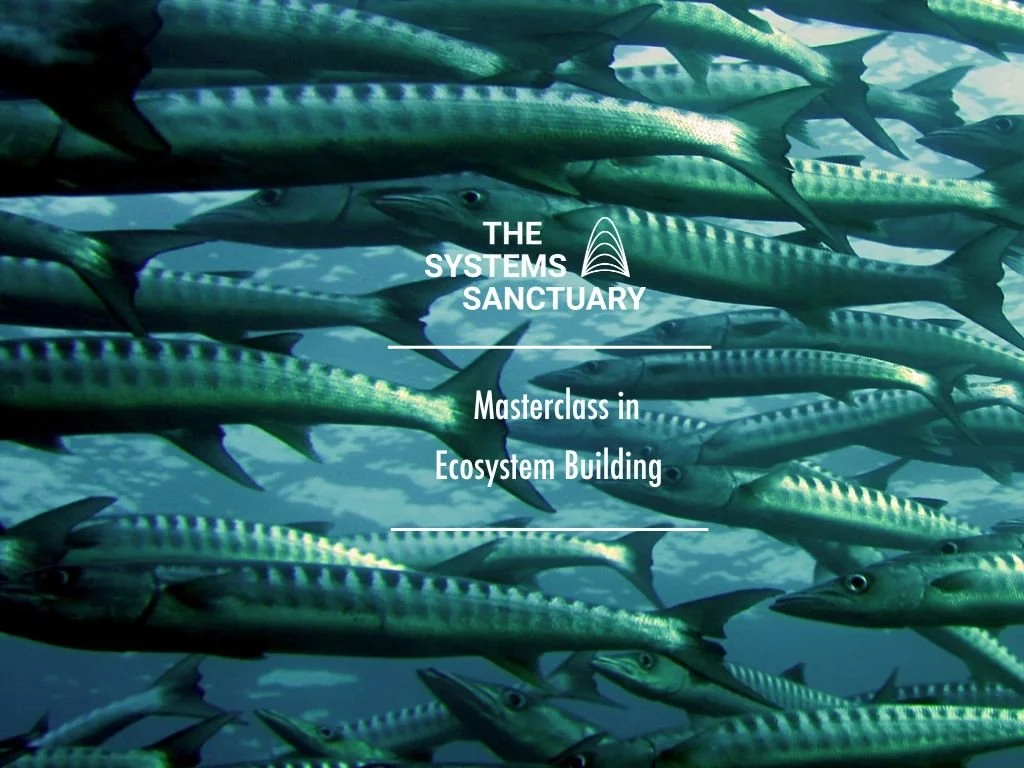 Individual Masterclass in Ecosystem Building — The Systems Sanctuary