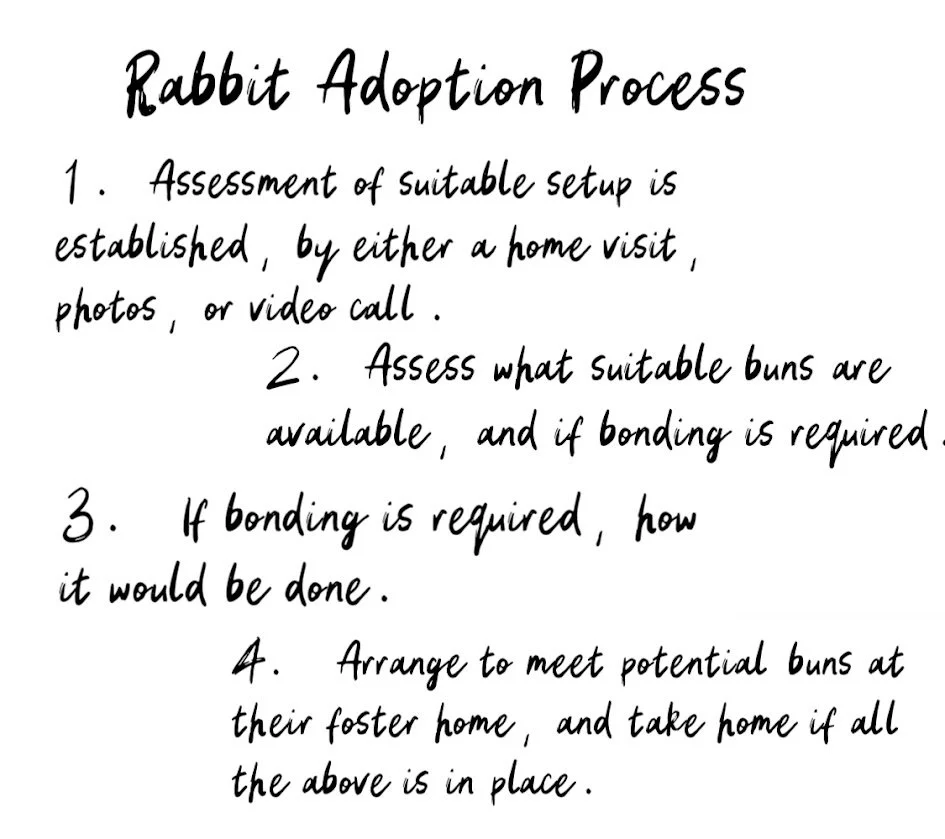 Adoption Process — Lincs Ark | Animal Welfare