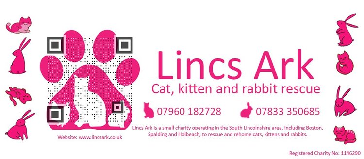 Lincs Ark | Animal Welfare