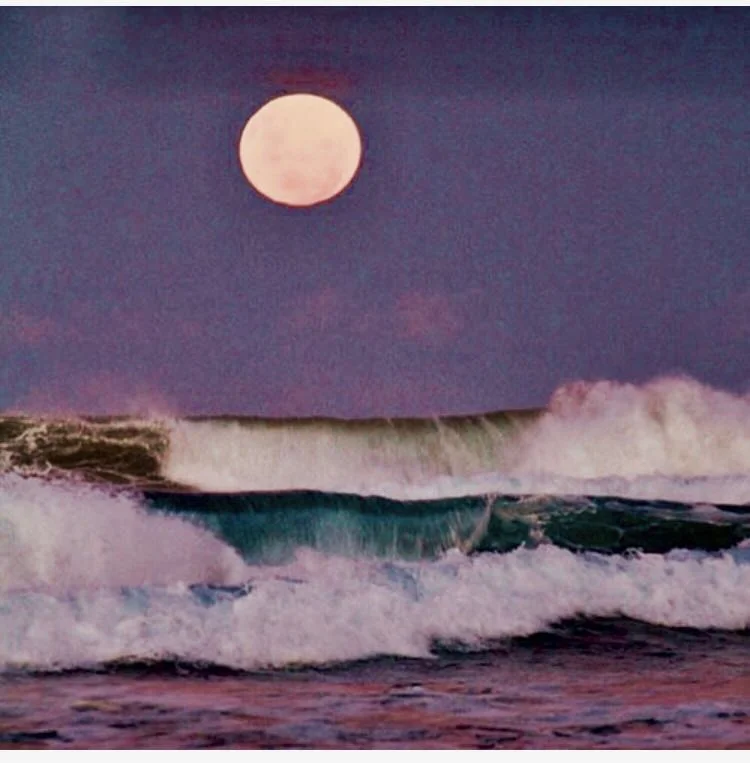 Article Monday January 29th — Monoki