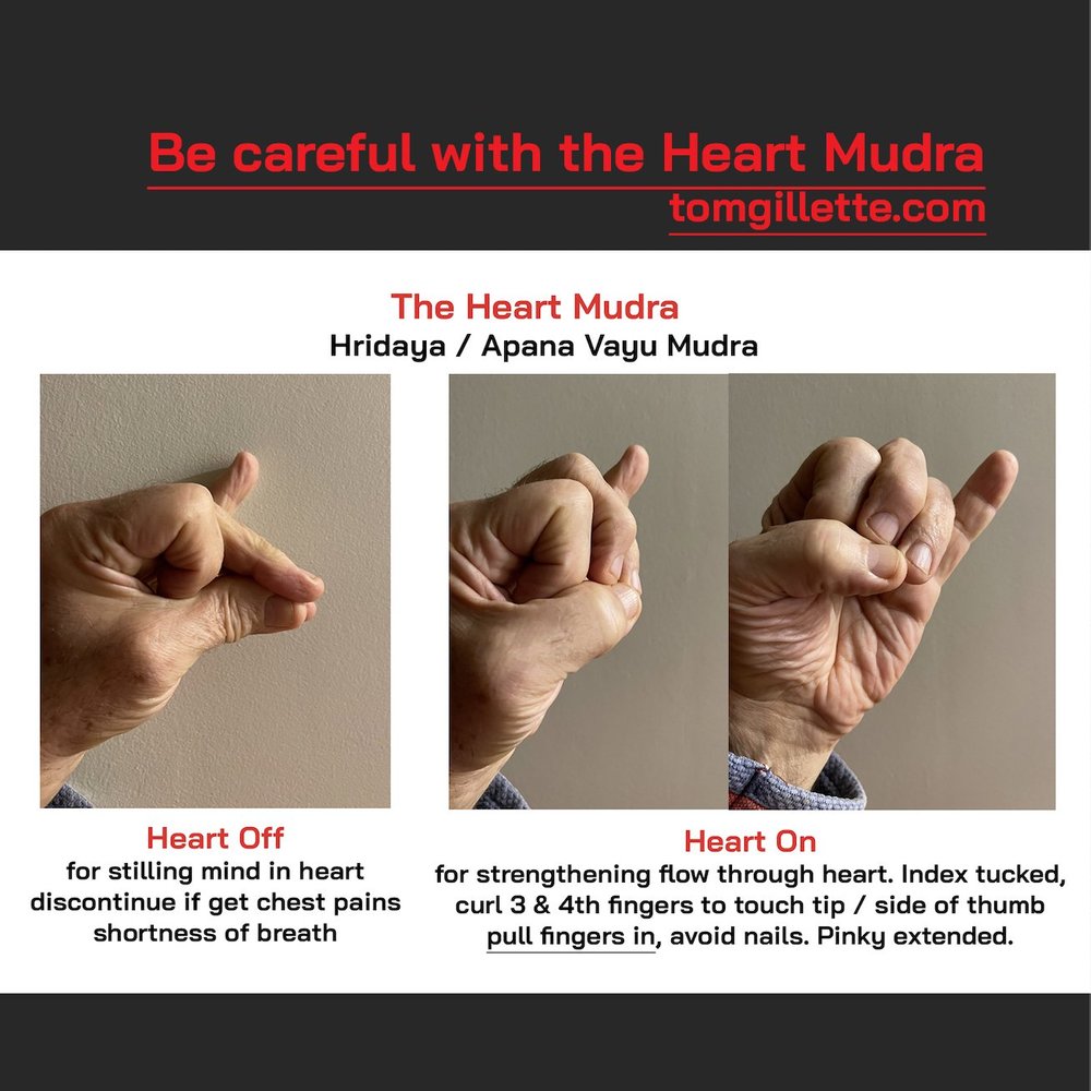 Blog — Tom Gillette