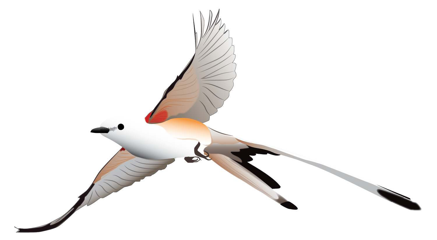 People — DuBay Lab