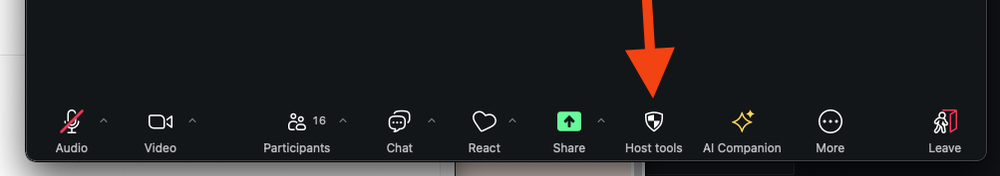Puget Sound Augustine Fellowship | Zoom Room Security Guide