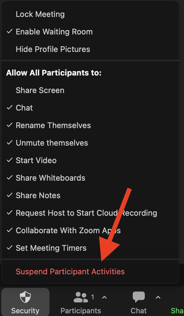 Puget Sound Augustine Fellowship | Zoom Room Security Guide