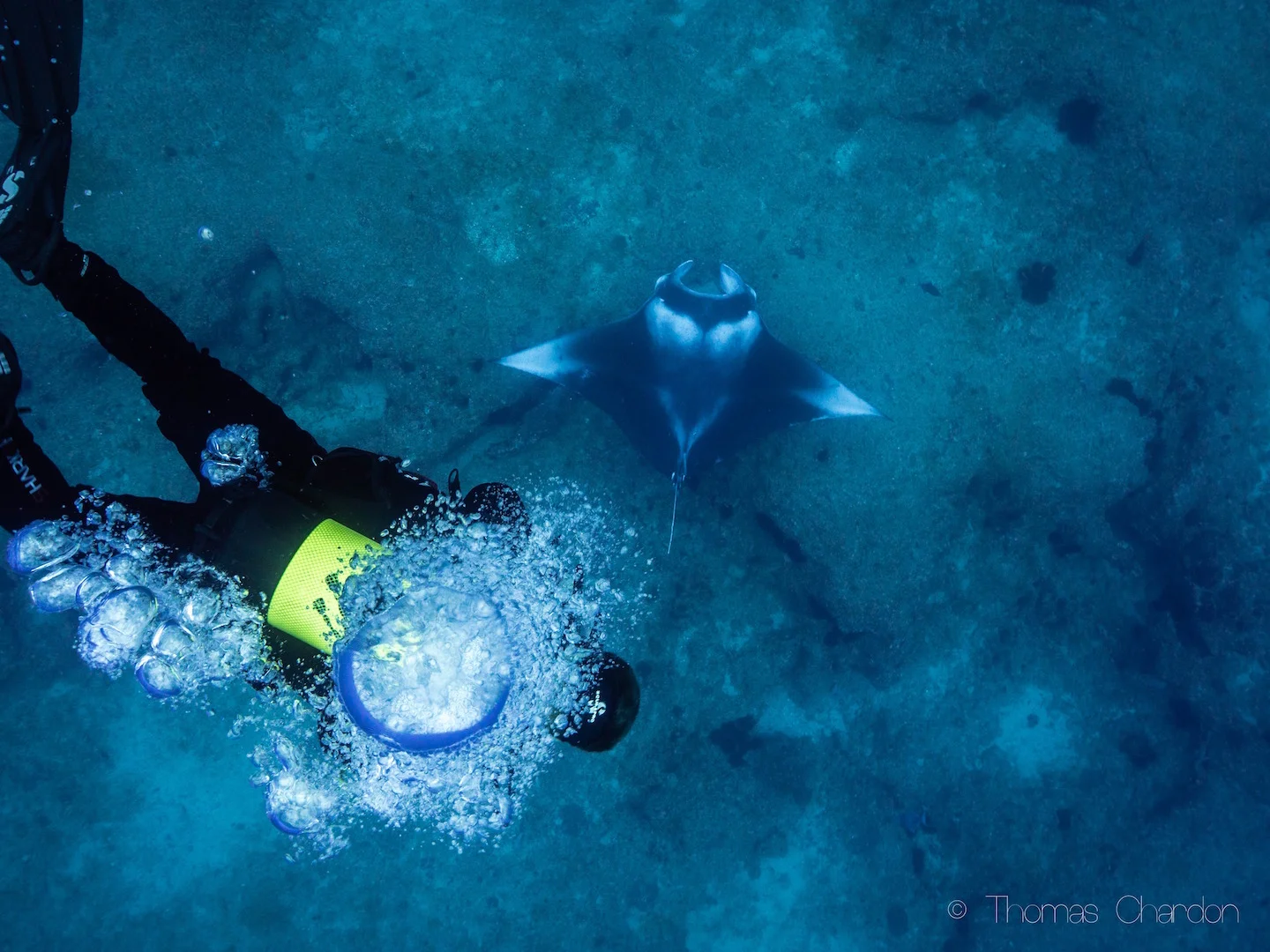 Best diving in Africa · Liquid Dive Adventures