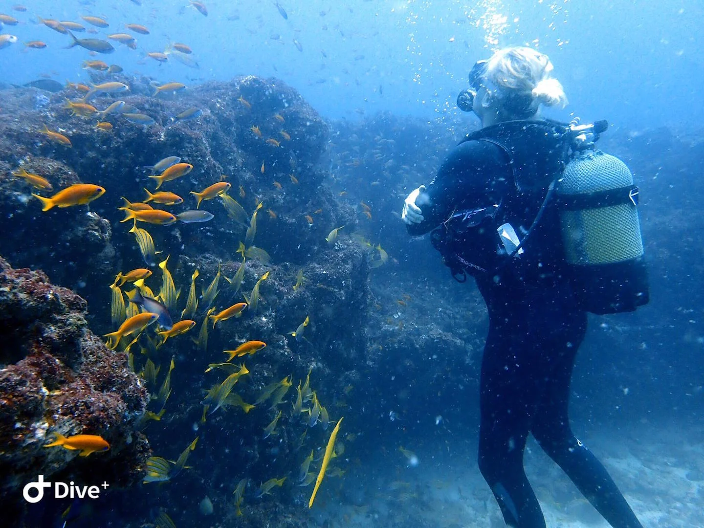 Dive sites in Tofo · Liquid Dive Adventures