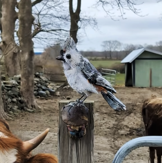 Thomas Deininger — Bernice Steinbaum Gallery